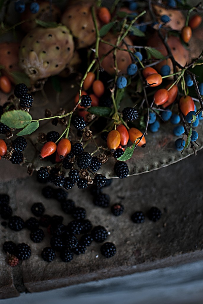 Magpie Monday | Robert E. Stutts